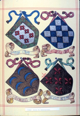 Lesser Nobility | The Heraldry Society